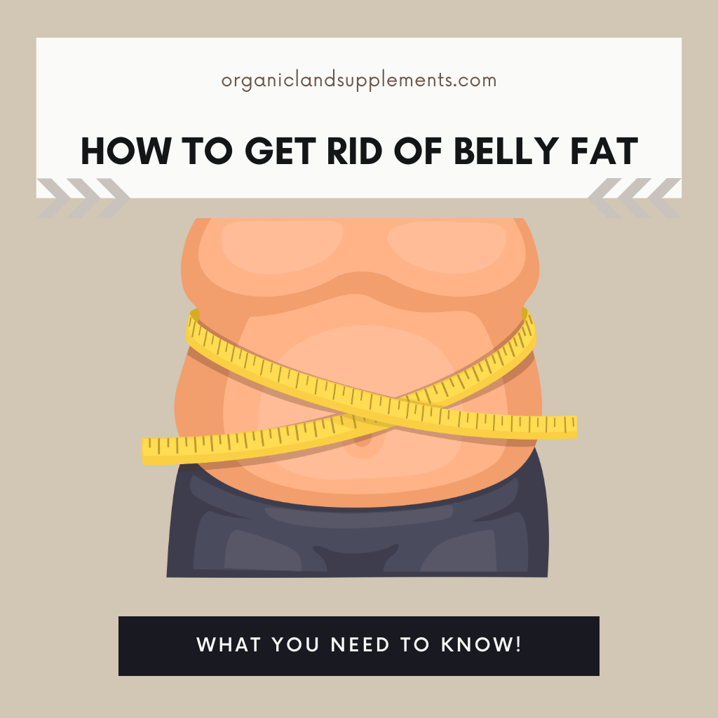 How to Get Rid of Belly Fat: A Comprehensive Guide to Nutrition and Ex ...