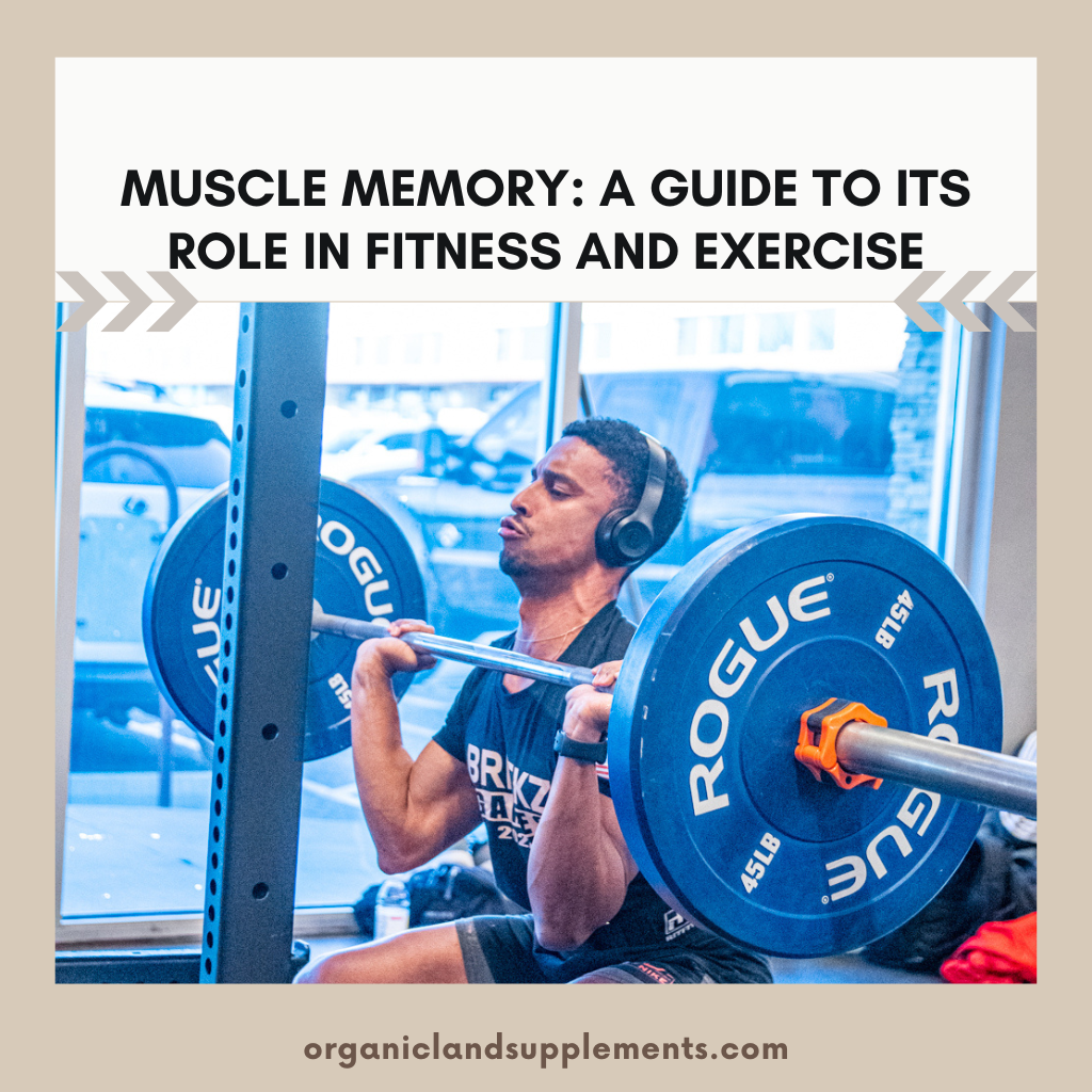 THE PHENOMENON OF MUSCLE MEMORY: A GUIDE TO ITS ROLE IN FITNESS AND EX ...