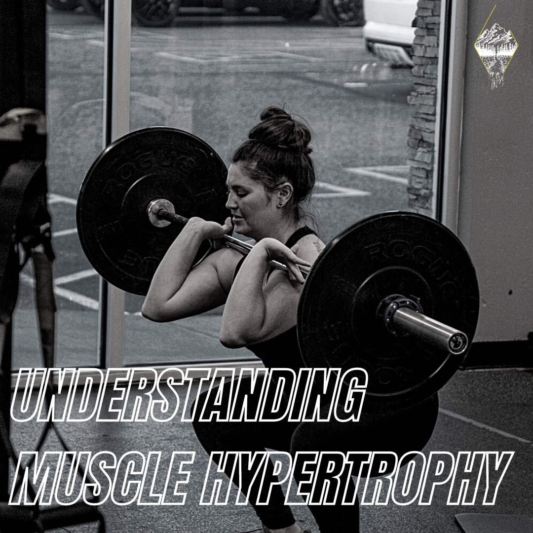 UNDERSTANDING MUSCLE HYPERTROPHY – organiclandsupplements.com